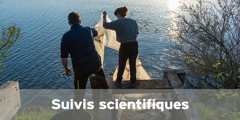 Nouveau suivi des espèces aquatiques des systèmes endigués - Réserve ...